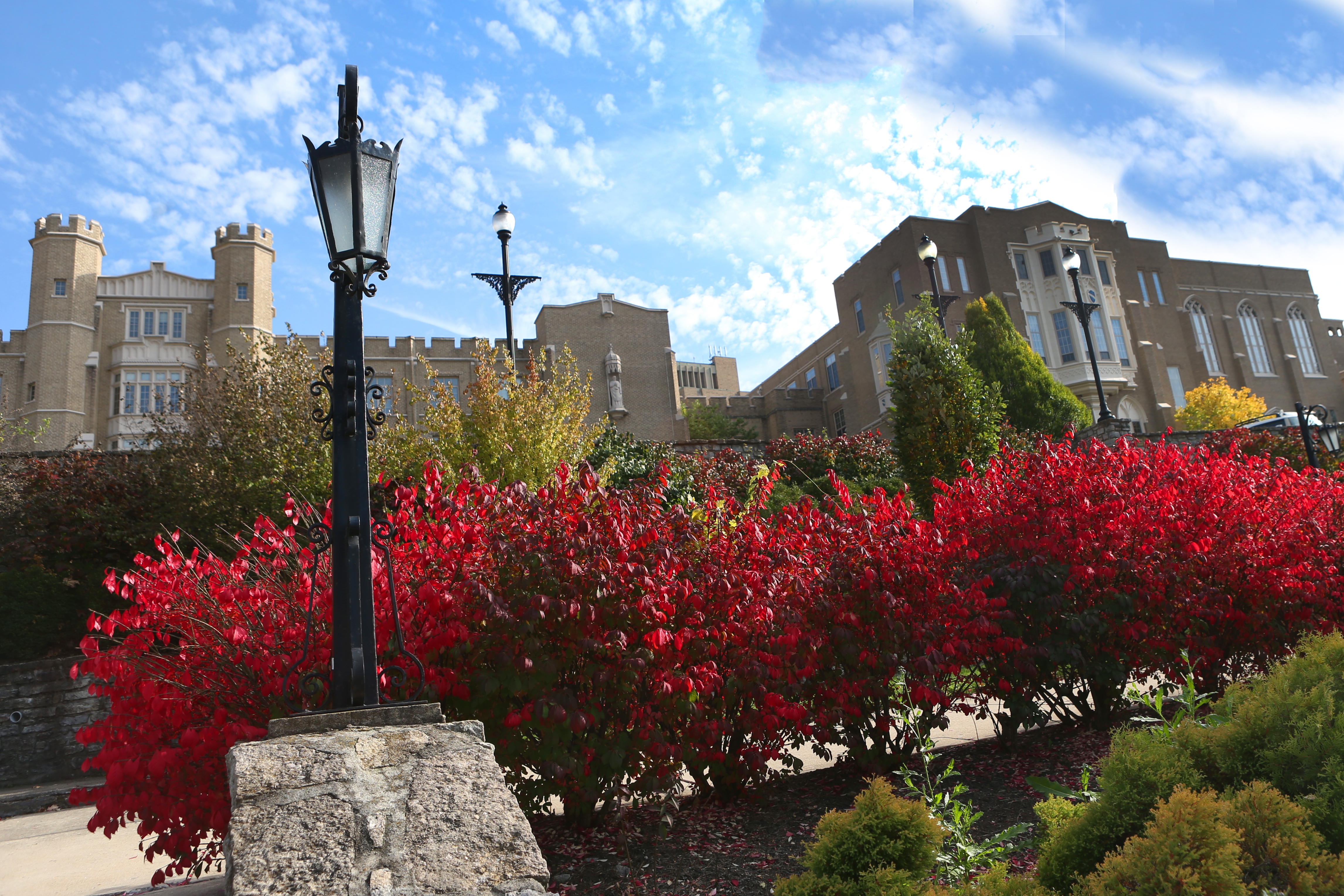 Recommended Photos - The Xavier Brand | Xavier University